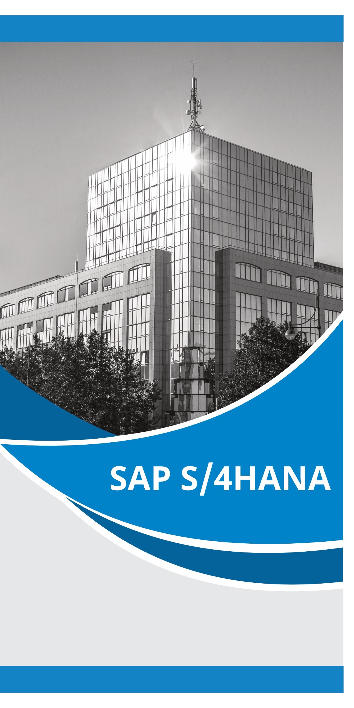 Das SAP University Competence Center Magdeburg - Das SAP UCC Magdeburg